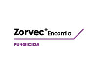 Zorvec Encantia | Protección de Cultivos | Corteva Agriscience