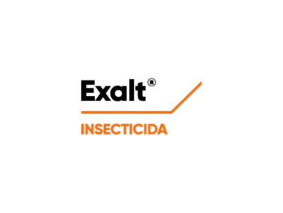 Exalt® | Protección de Cultivos | Corteva Agriscience