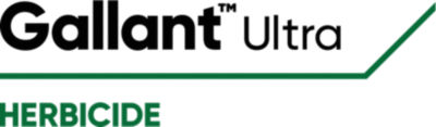 Gallant Herbicide | Corteva Agriscience