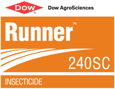 Tree Nuts | Corteva Agriscience