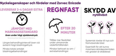 Zorvec™ Enicade Fungicid | Corteva Agriscience