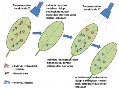 Mekanisme Kerja Pestisida Pertanian