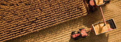 B2620PWU | Híbrido de Milho | Brevant Sementes