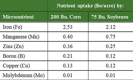 Micronutrients for Crop Production | Pioneer Seeds