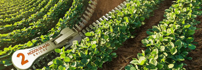 Intrepid® Edge | Proteção de Cultivos