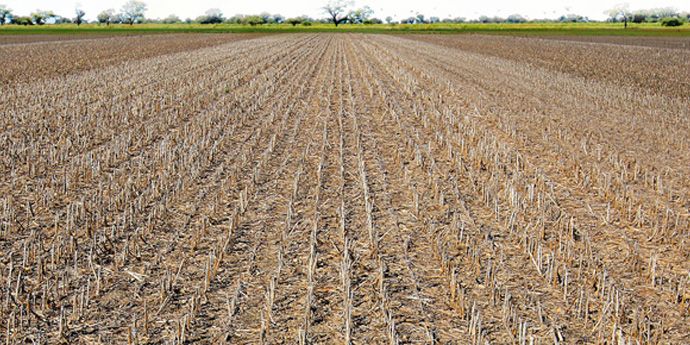 Barbecho Químico | DuPont Agro – Argentina | DuPont Argentina